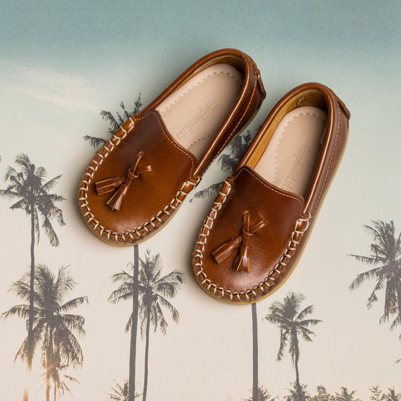 ᐉ Elephantito | A Modern Approach to Classics